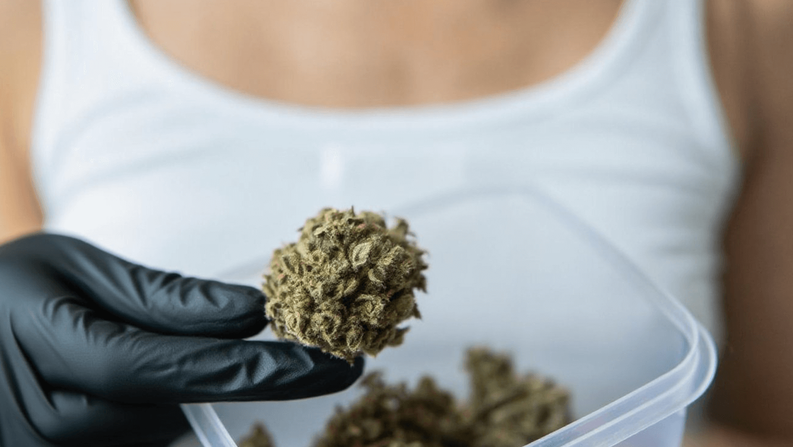 Shop Budget THCa Flowers at Cheap Price | THCa Valley