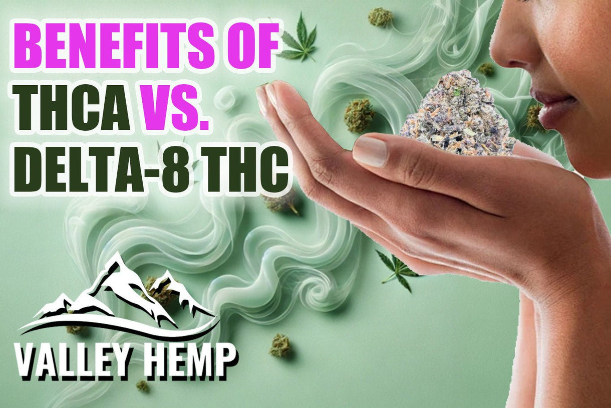 Home Blog THCa vs Delta 8: What’s The Difference?