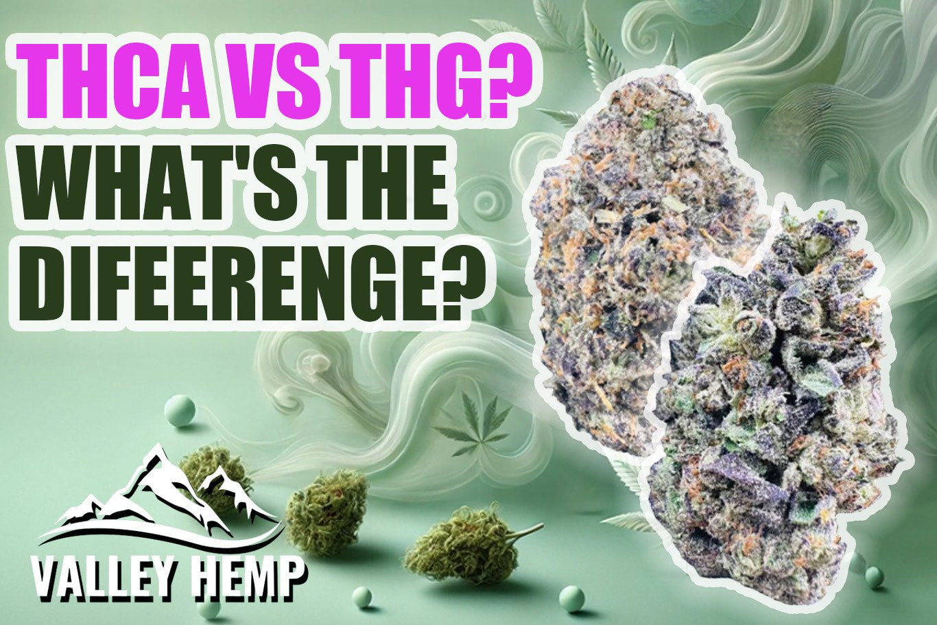 THCA vs THC? What’s The Difference?