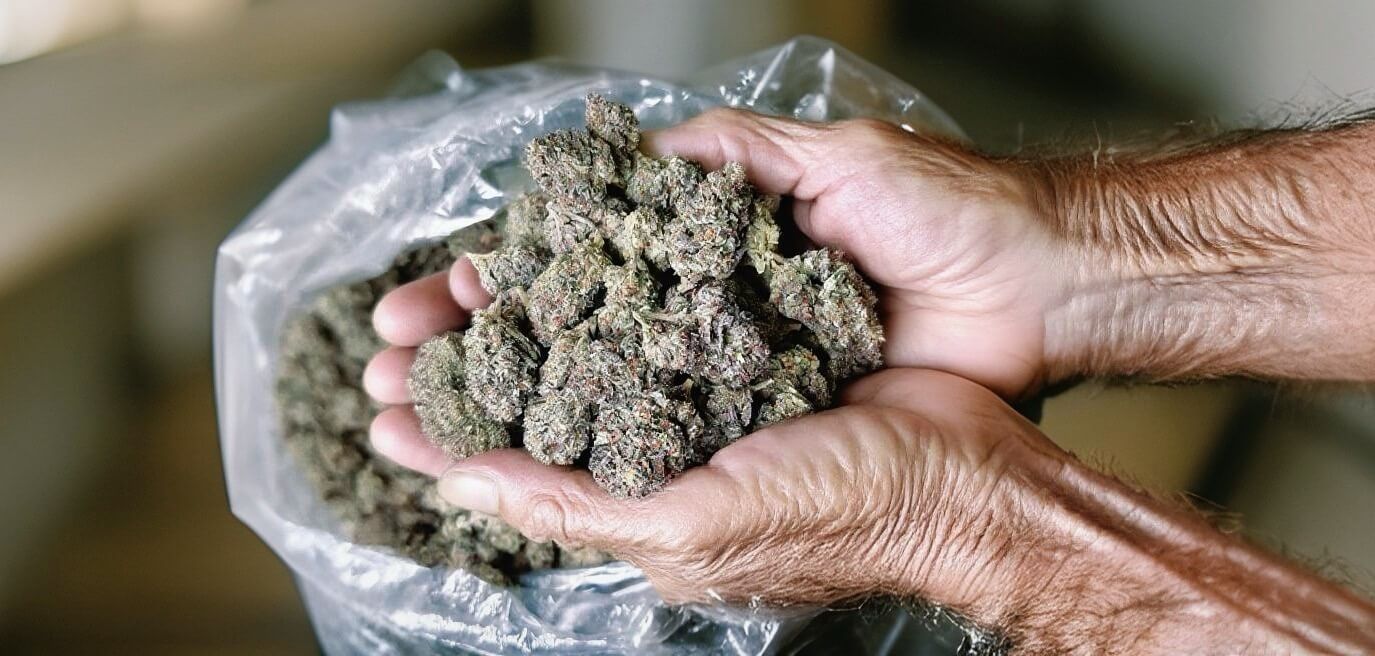 THCa Flower Pounds | Buy Bulk THCA Flowers Online