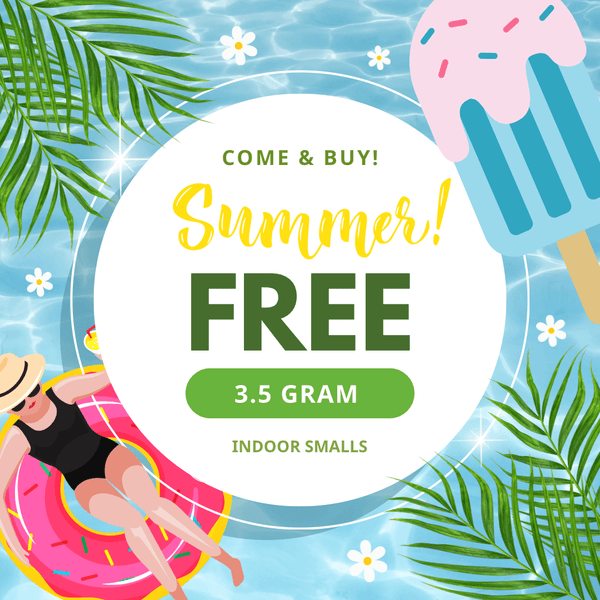 1st Order Code - Free8